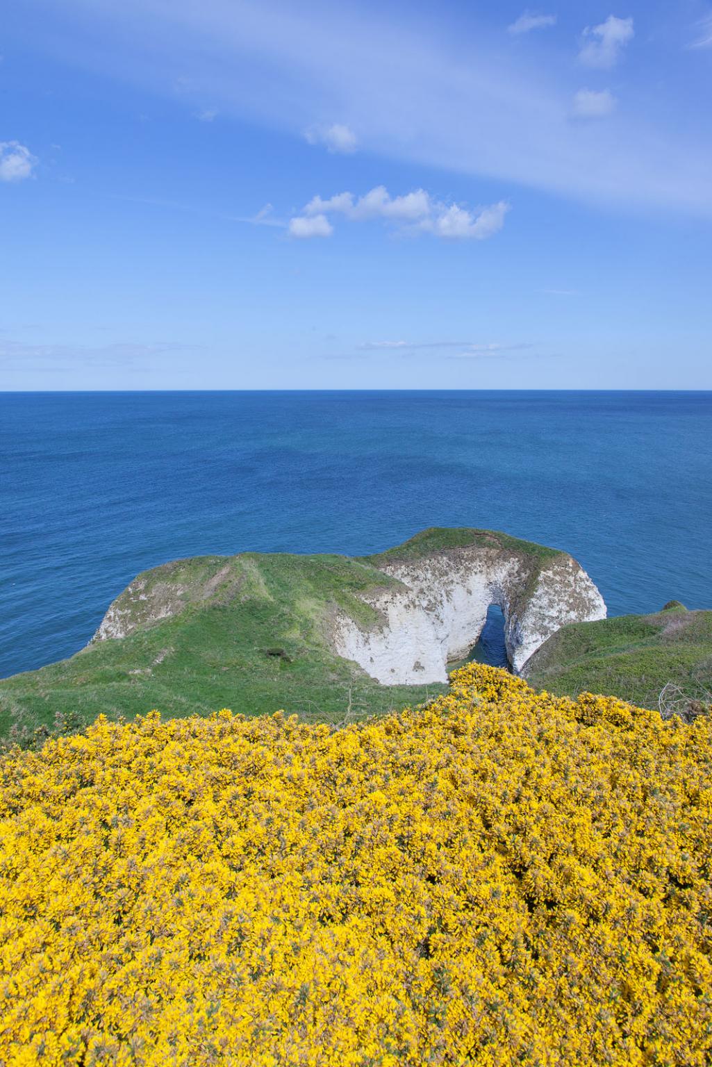 Flamborough Head, East Yorkshire Coast - David Speight Photography