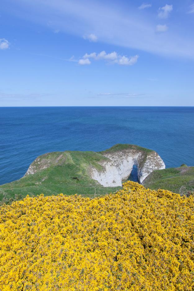 Flamborough Head, East Yorkshire Coast - David Speight Photography