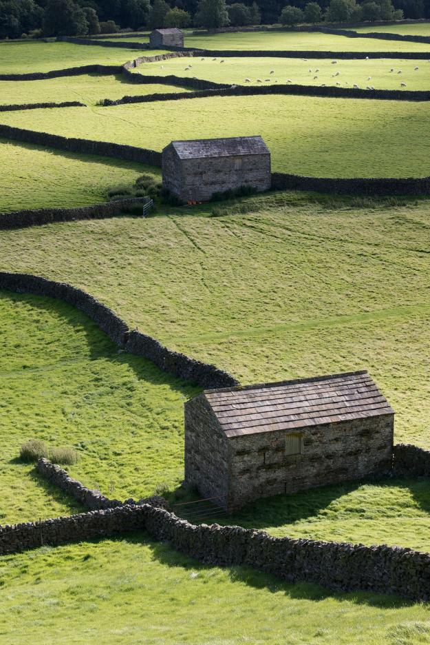 field barns at gunnerside, swaledale, Yorkshire Dales - David Speight ...
