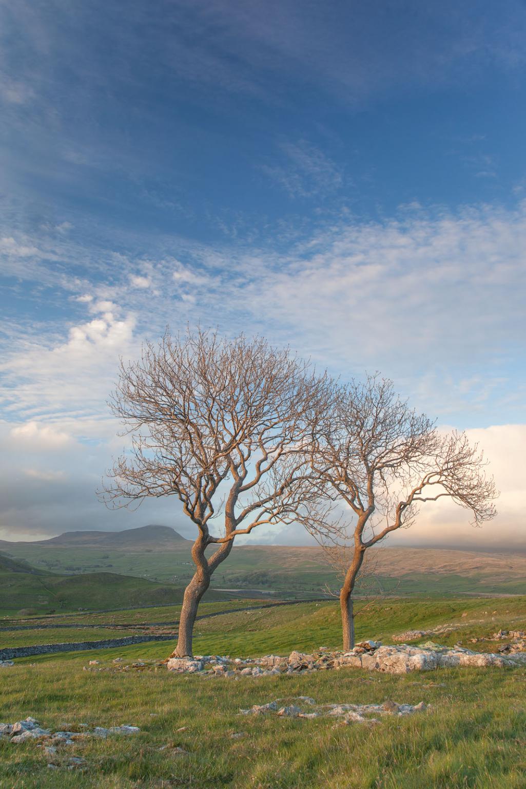 Pen-y-ghent, Yorkshire Dales - David Speight Photography