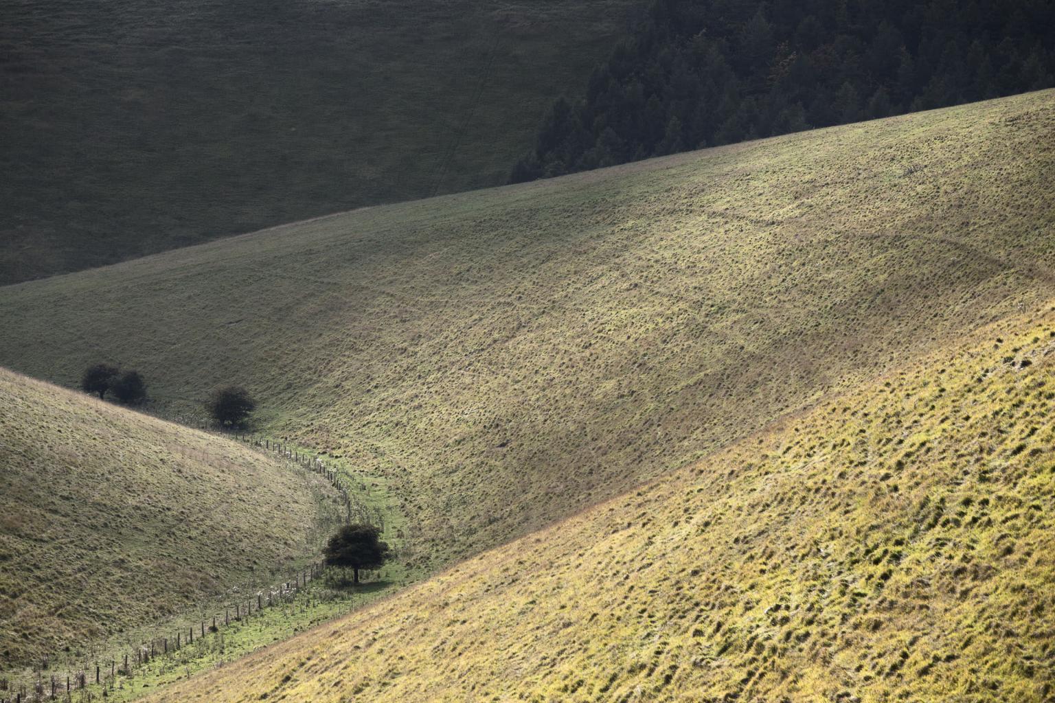 Frendal dale near Huggate, yorkshire wolds, East Yorkshire - David ...