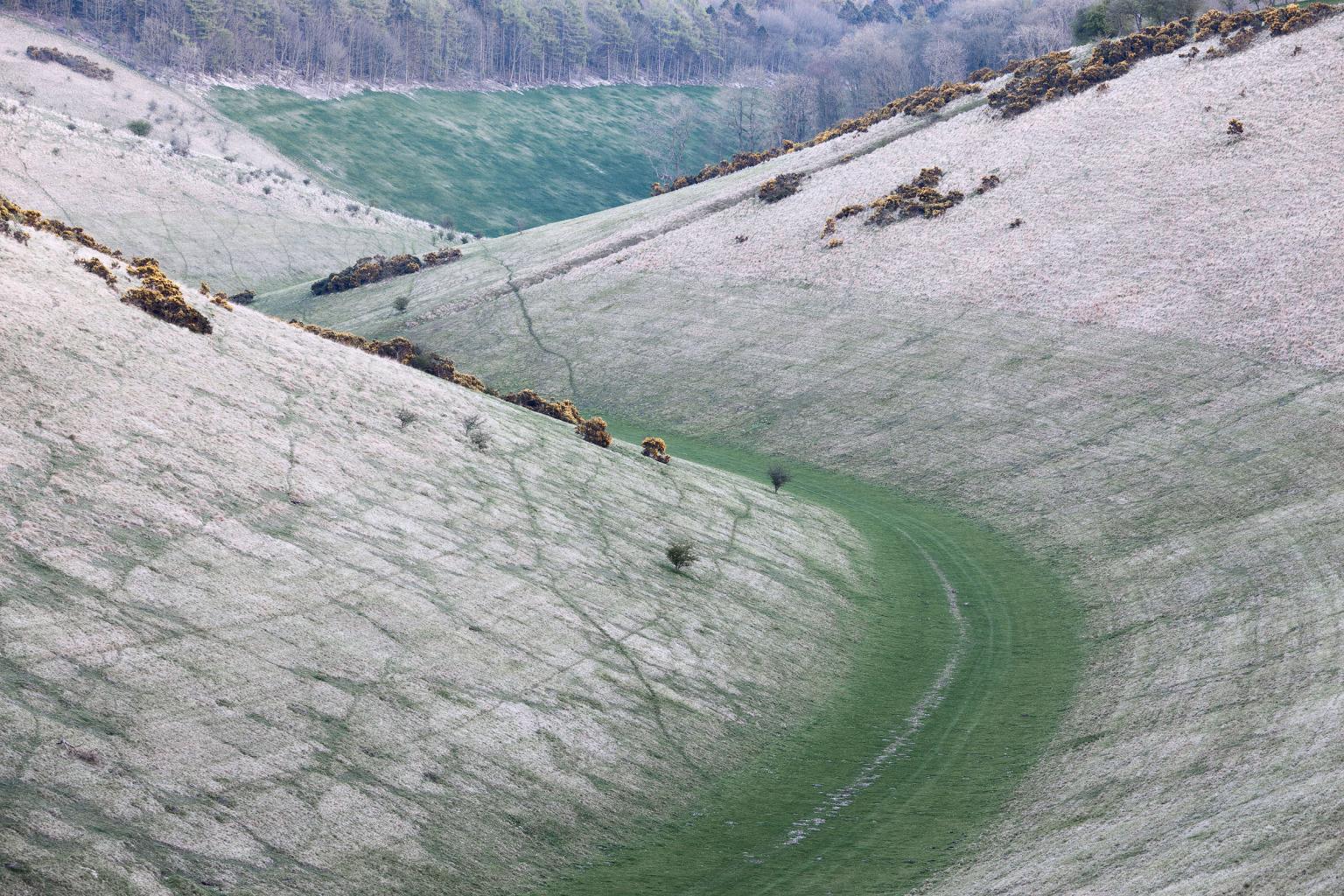 Countryside near huggate, yorkshire wolds, East Yorkshire - David ...