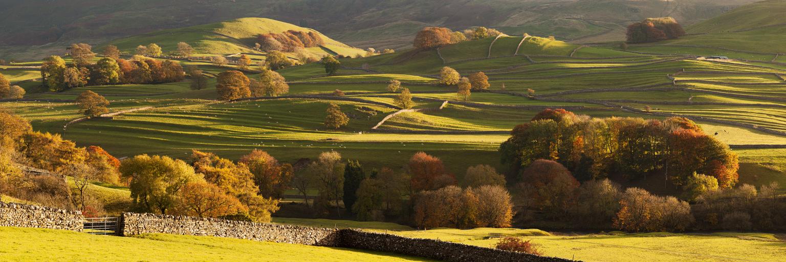 rolling hills near grassington in autumn, yorkshire dales - David ...