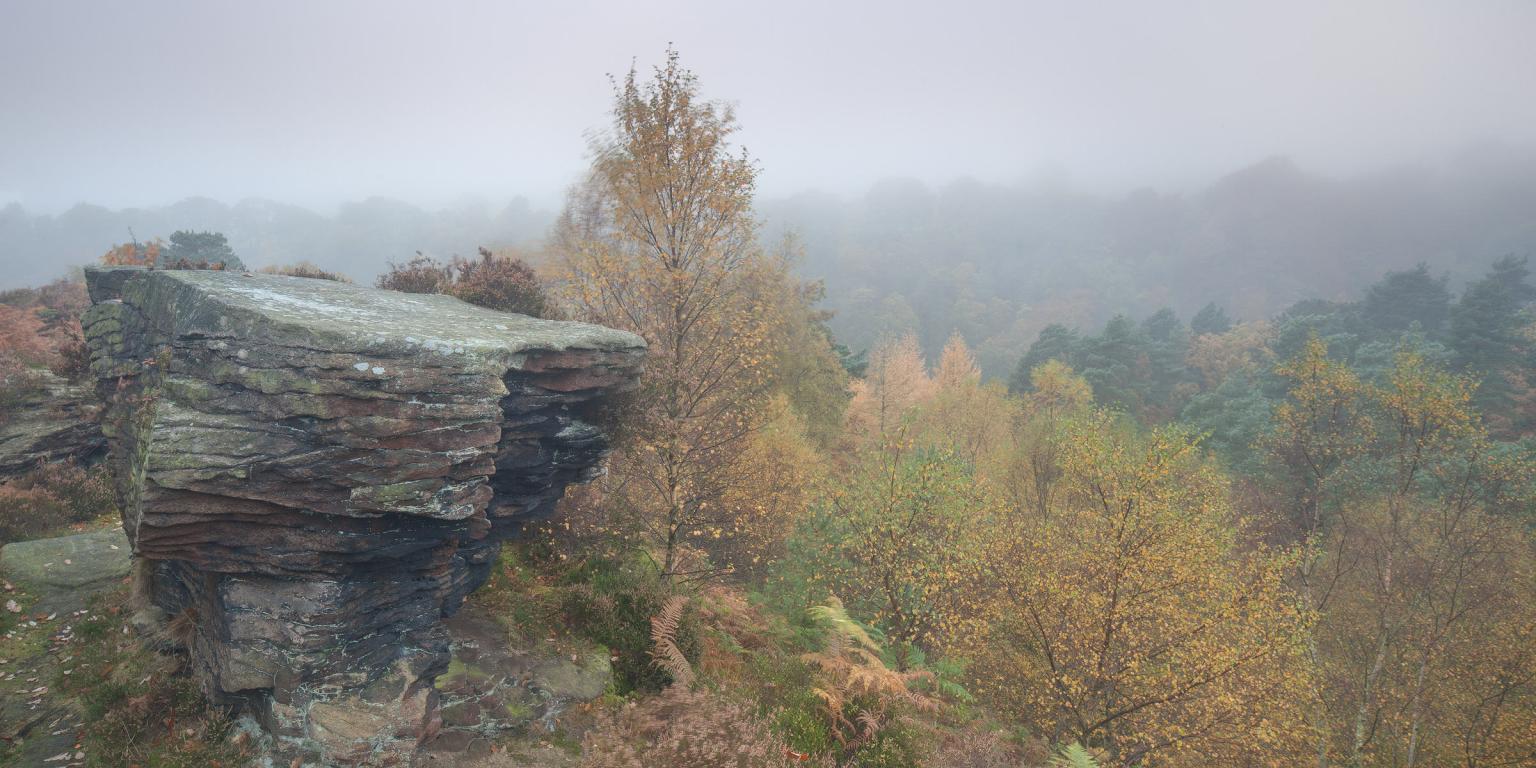 autumn colours in fog, hardcastle crags, west yorkshire - David Speight ...