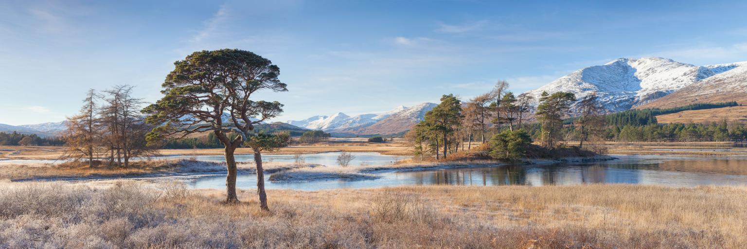 Loch Tulla, Argyll & Bute, Scotland - David Speight Photography