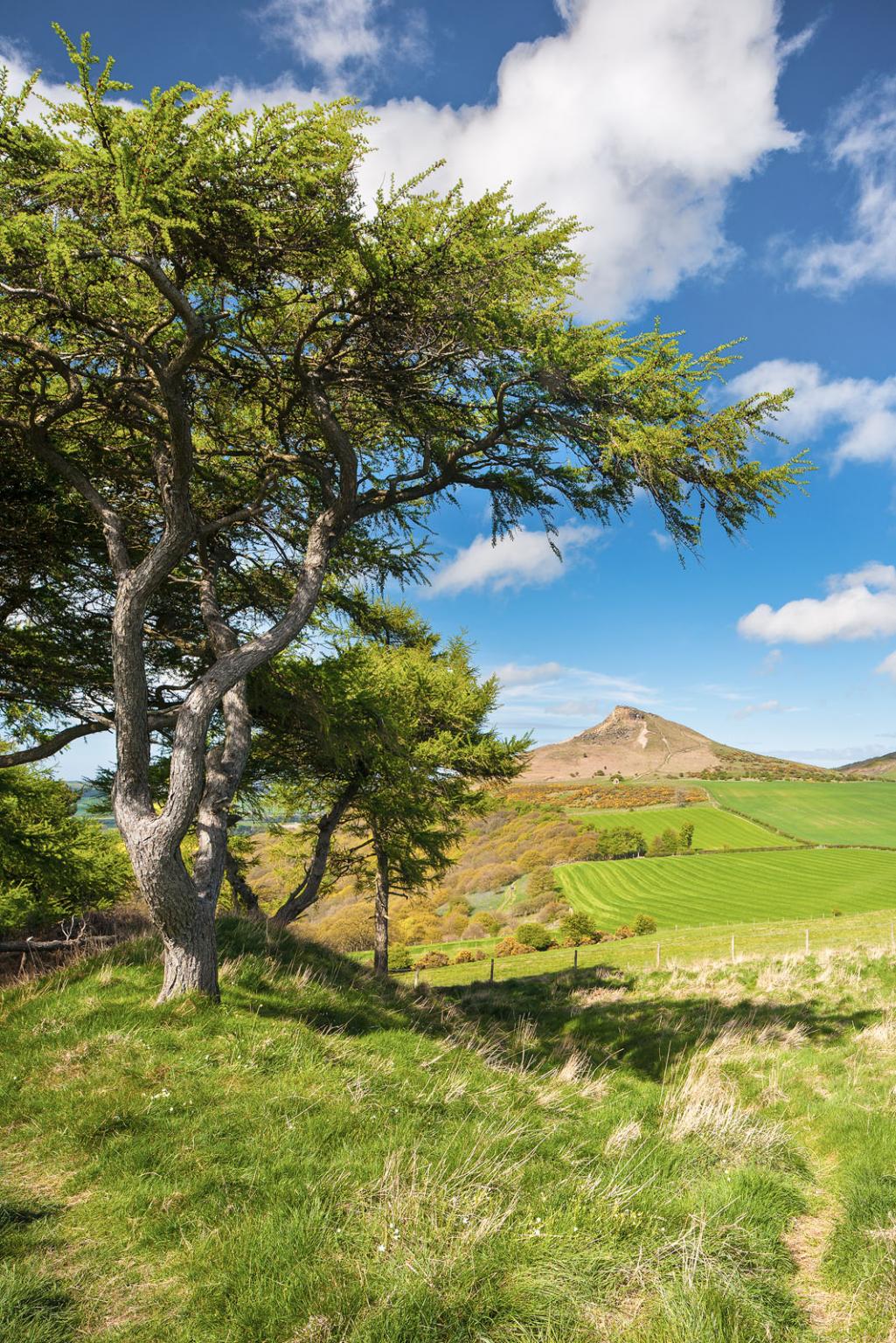 Roseberry Topping landscape photography pictures prints - David Speight ...