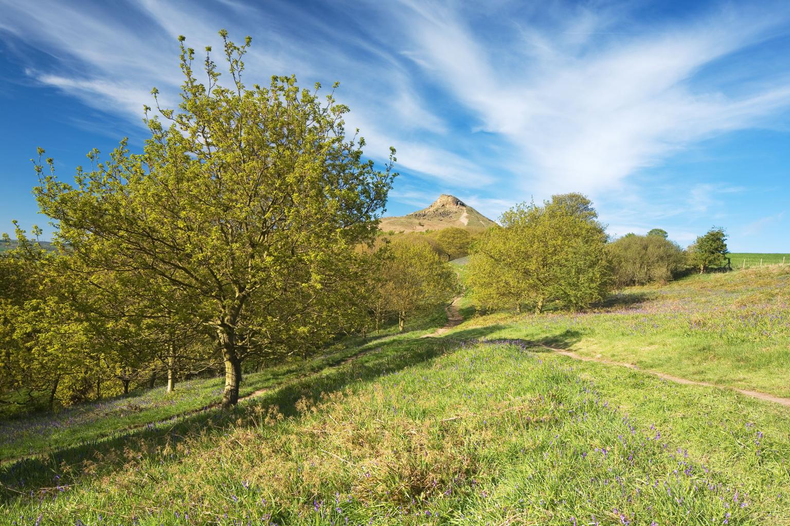 Roseberry Topping North Yorkshire landscape picture prints - David ...