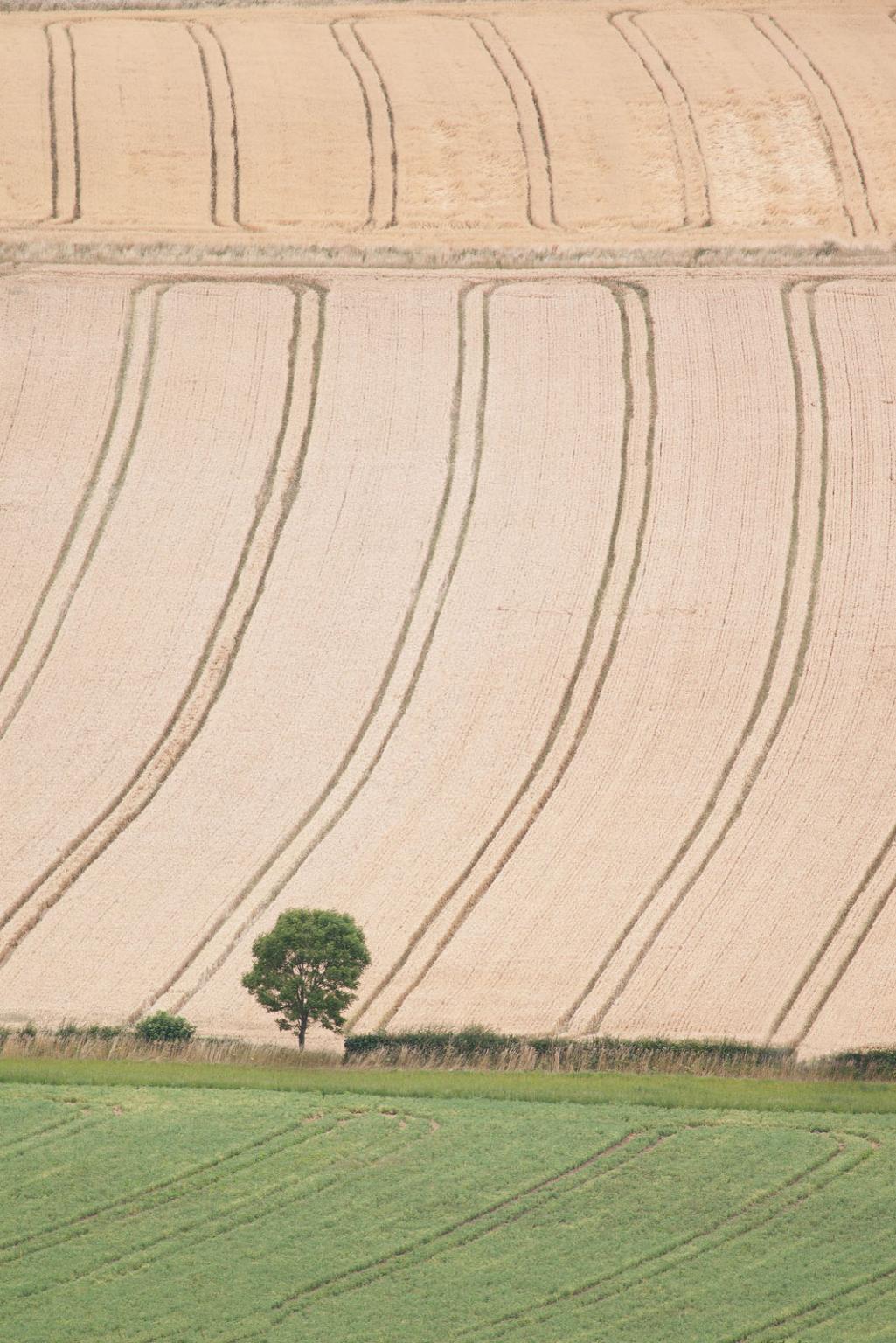 field patterns landscape photography picture North Yorkshire - David ...