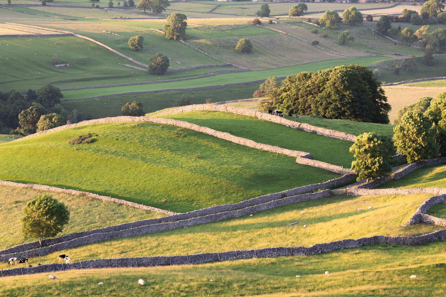 Images of The Yorkshire Dales - Grassington Hills - David Speight ...