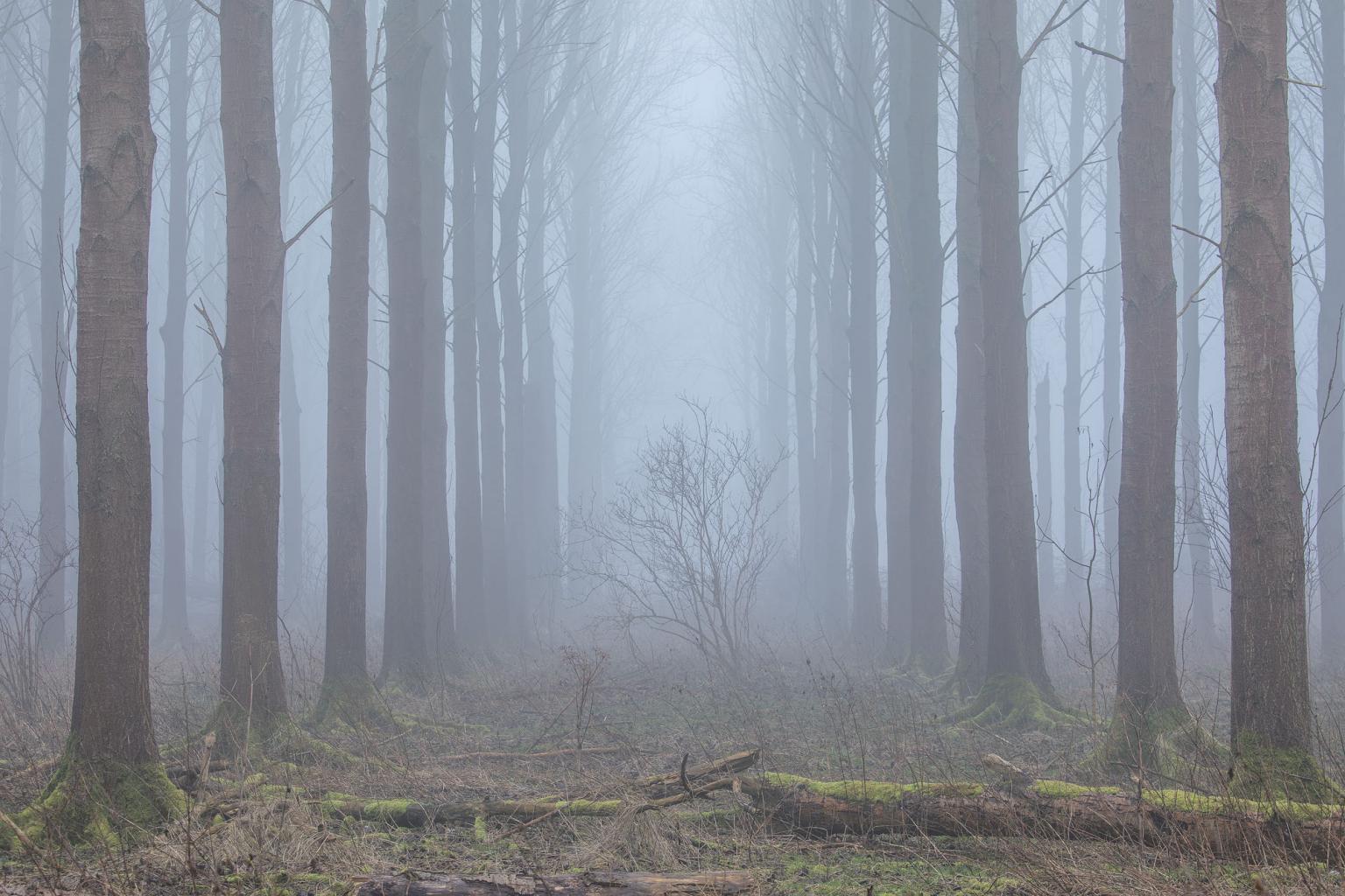 Yorkshire Wolds Landscape Image - David Speight Photography