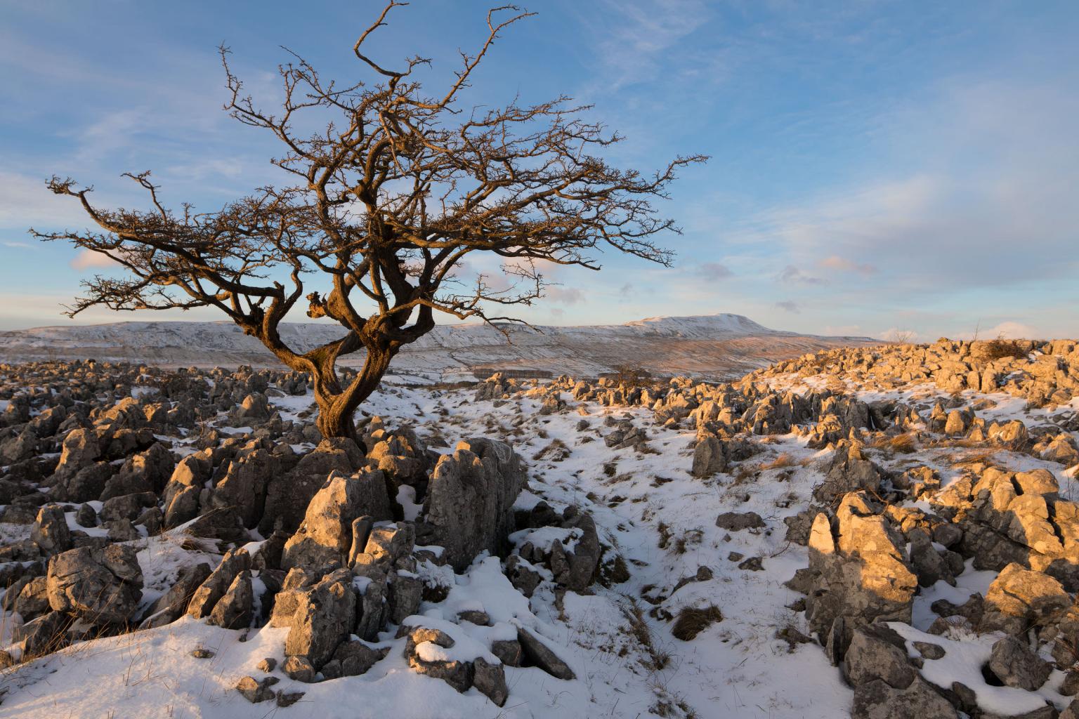 Whernside Hill Yorkshire Dales - David Speight Photography