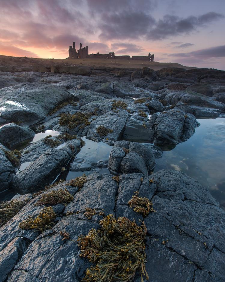 dunstanburgh castle sunset - David Speight Photography