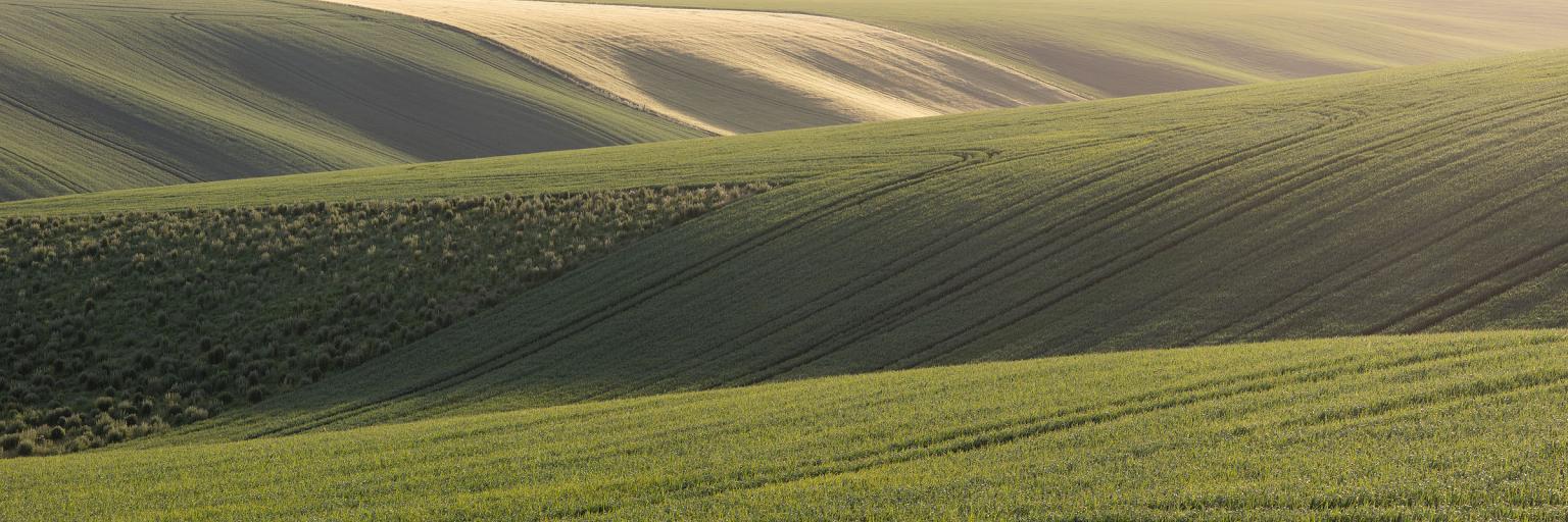Yorkshire Wolds Panoramic Prints Images - David Speight Photography