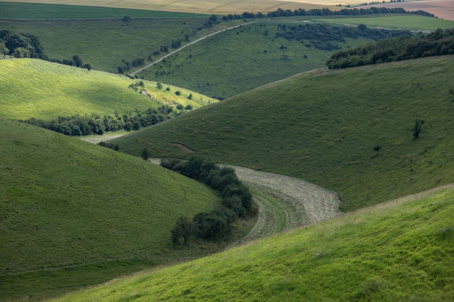 landscape photography yorkshire wolds - David Speight Photography