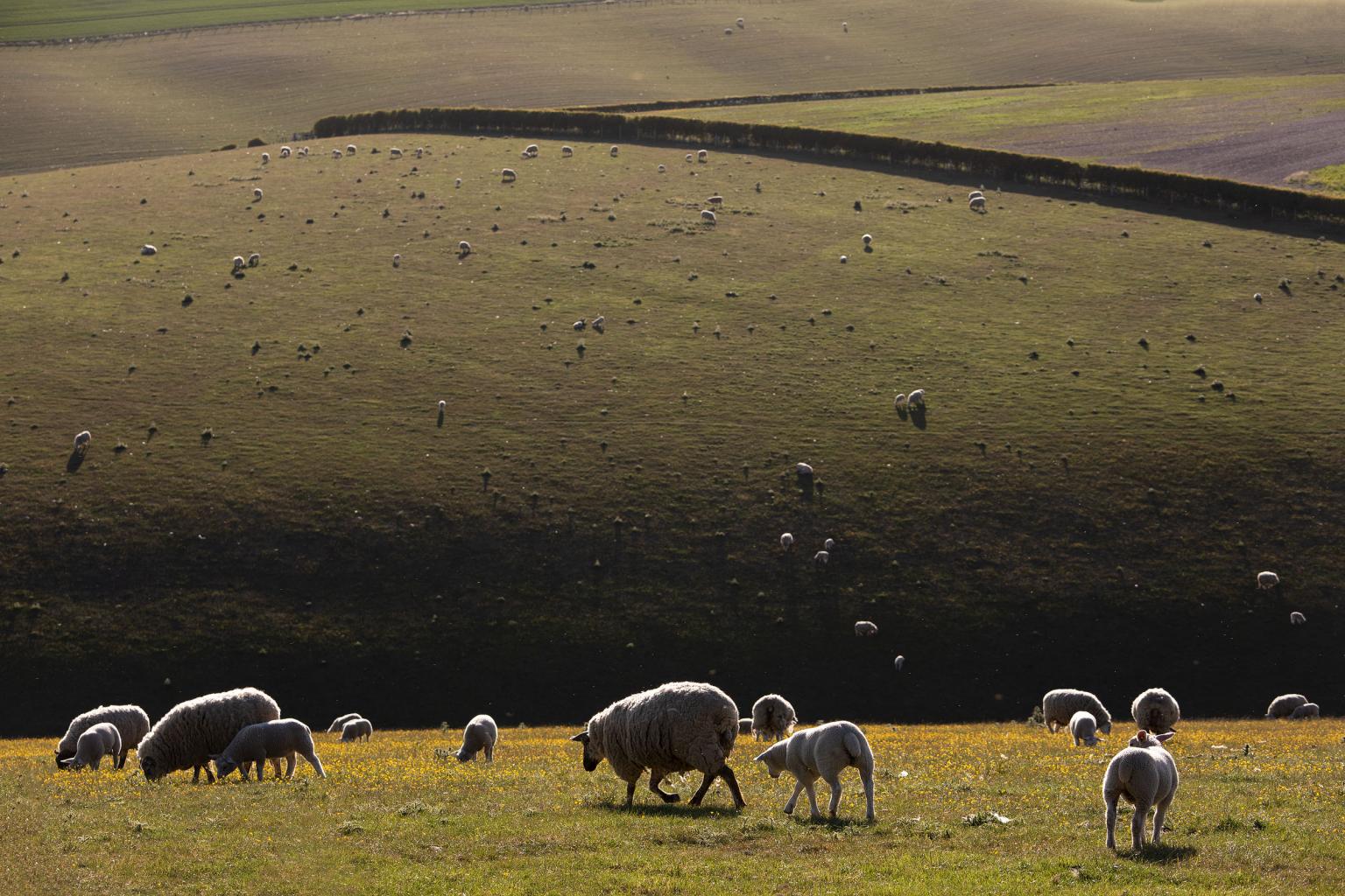 yorkshire wolds landscape photography prints - David Speight Photography