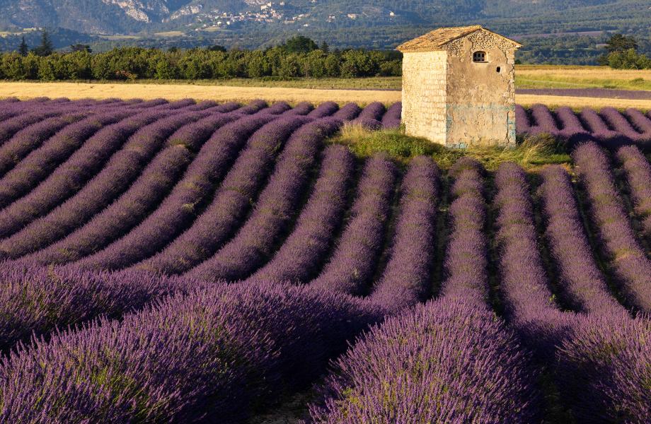 Landscape photography workshops UK - David Speight