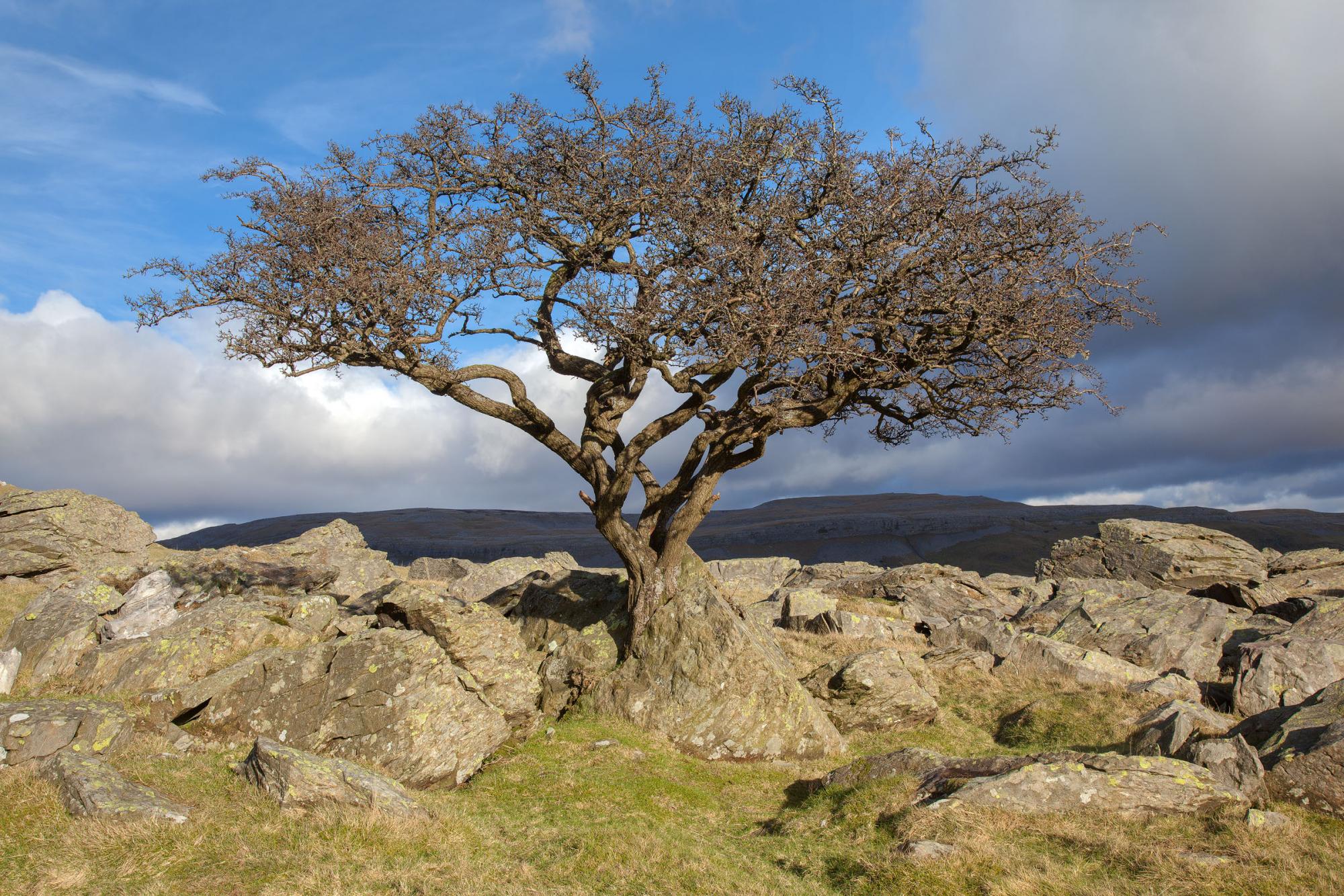 Yorkshire Dales Three Day Photography Workshop - David Speight Photography