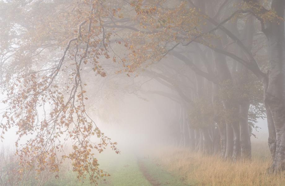 Landscape photography workshops, courses and tuition - UK