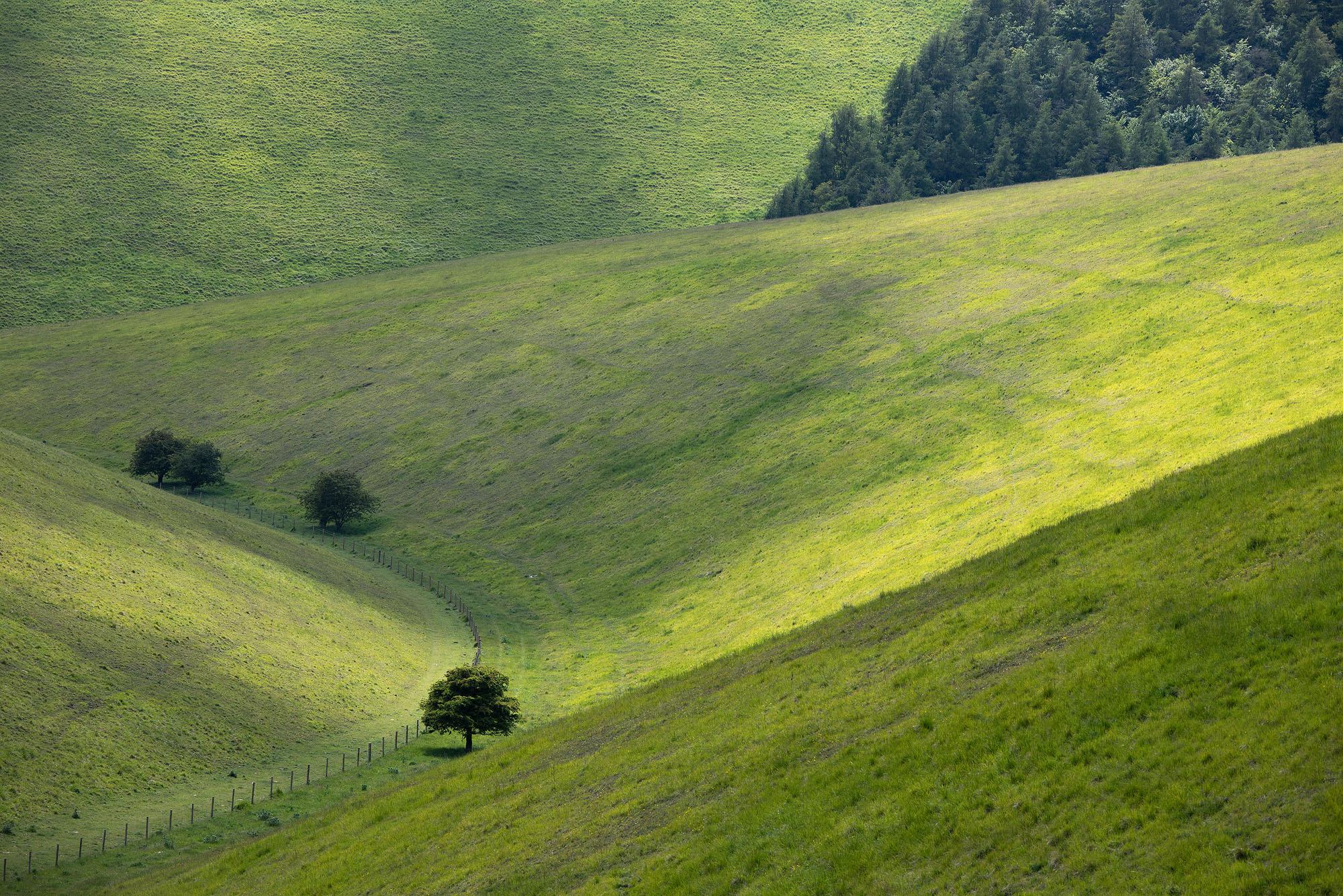 Yorkshire Wolds Autumn Photography Workshop - David Speight Photography