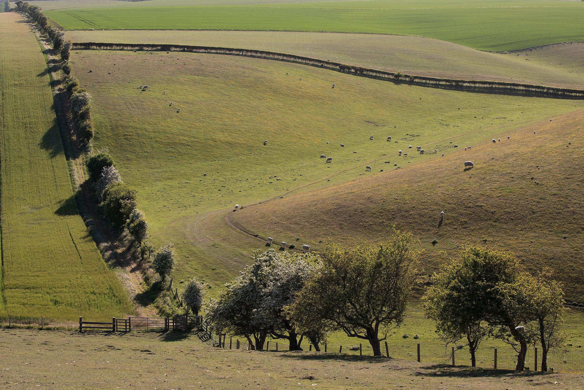 Yorkshire Wolds Autumn Photography Workshop - David Speight Photography