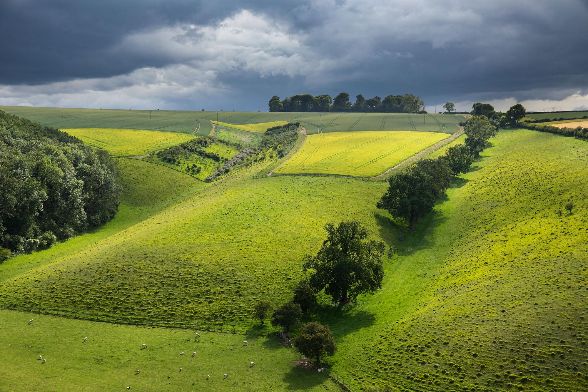 Yorkshire Wolds Autumn Photography Workshop - David Speight Photography