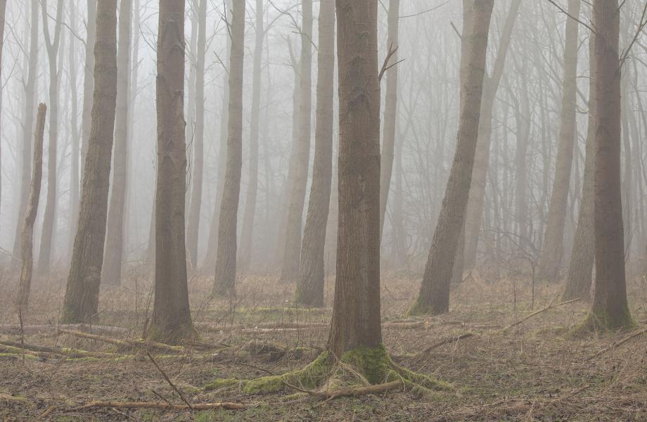 Landscape photography workshops UK - David Speight